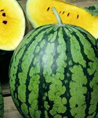 Farm Stand - Muth Family Farm